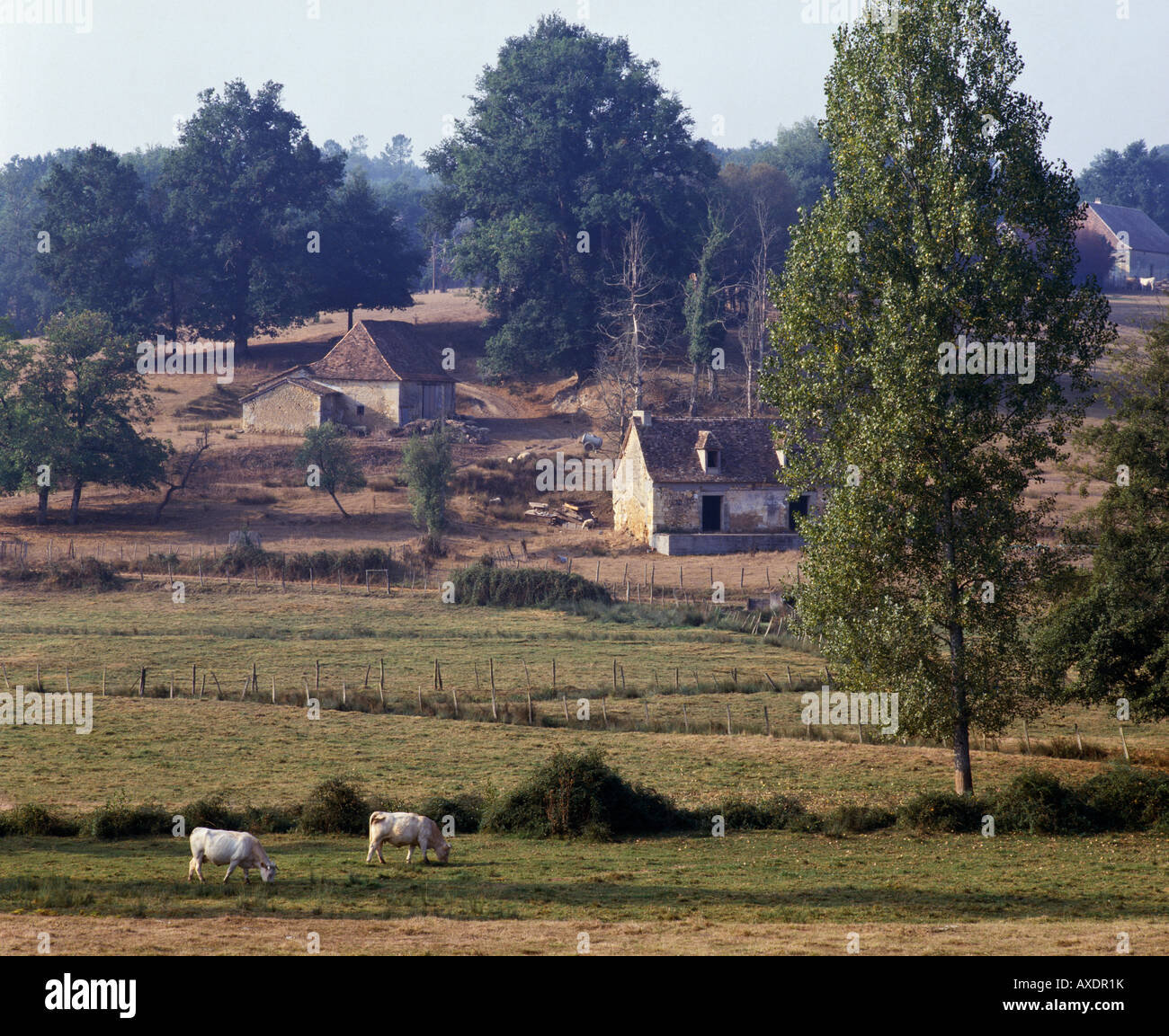 Bergerac hi-res stock photography and images - Alamy