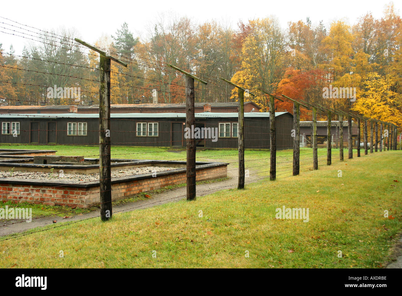 Stutthof Concentration Camp Stock Photo - Alamy