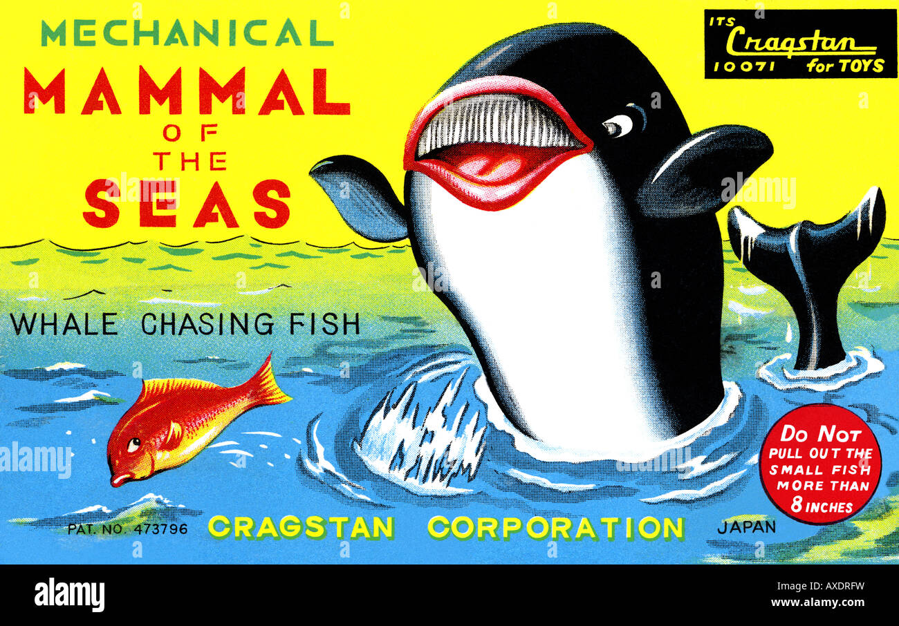 Mammal of the Seas; Whale Chasing Fish Stock Photo - Alamy