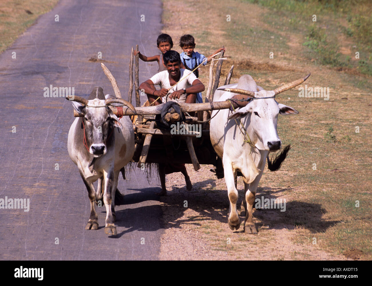 Ox drawn cart hi-res stock photography and images - Alamy