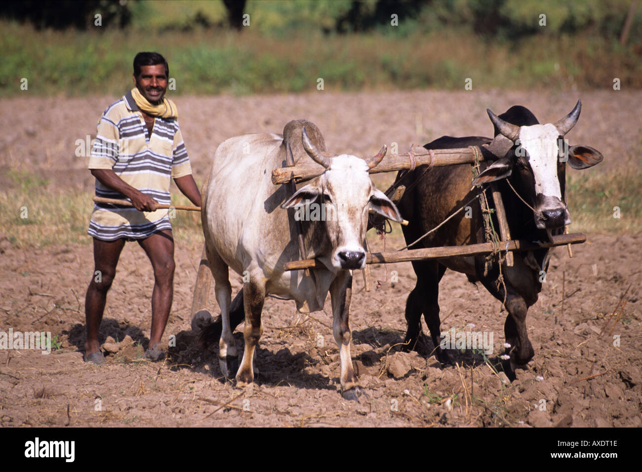 Ploughing methods hi-res stock photography and images - Alamy