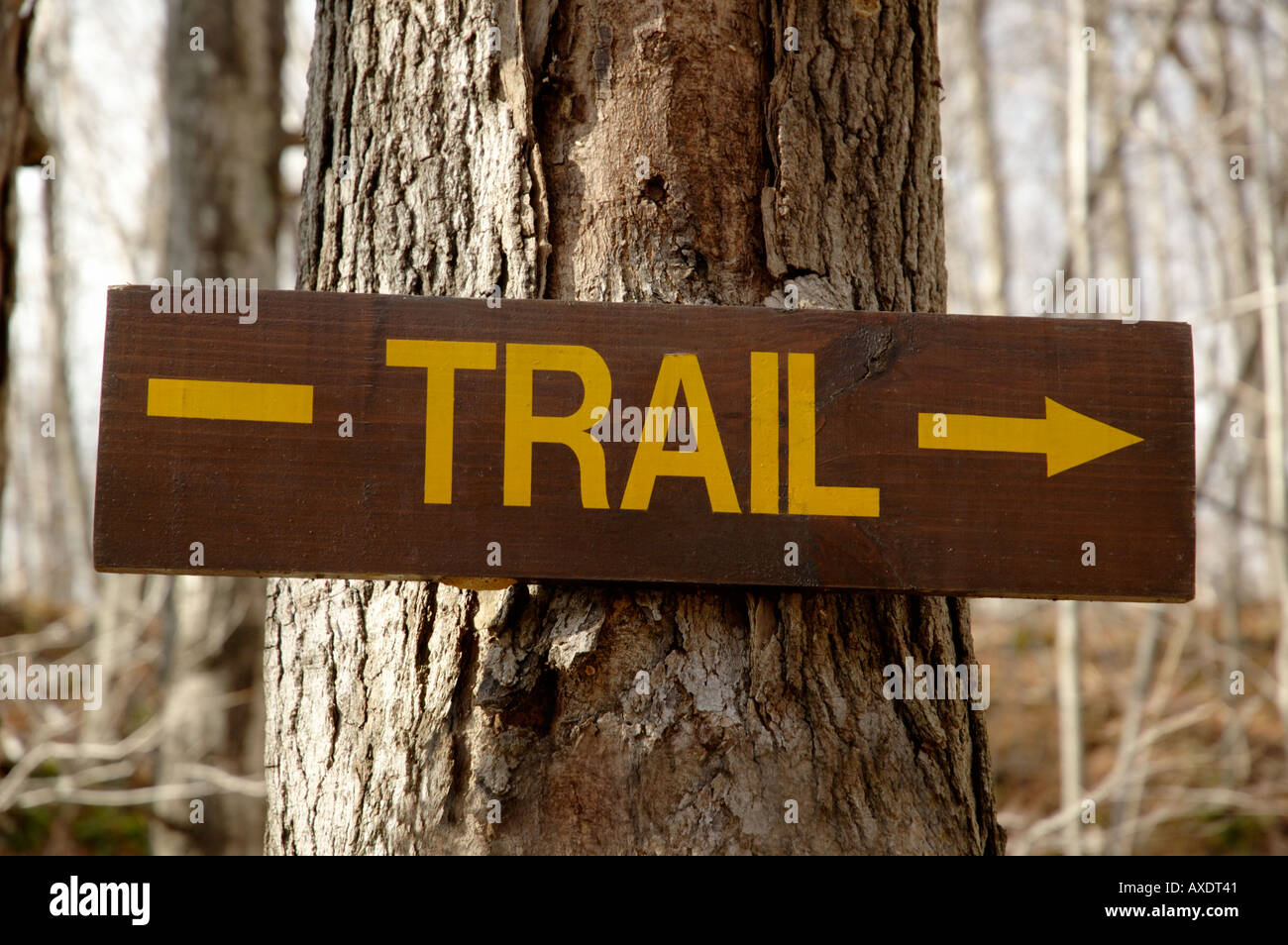 Trail marker sign at a trailhead Stock Photo - Alamy