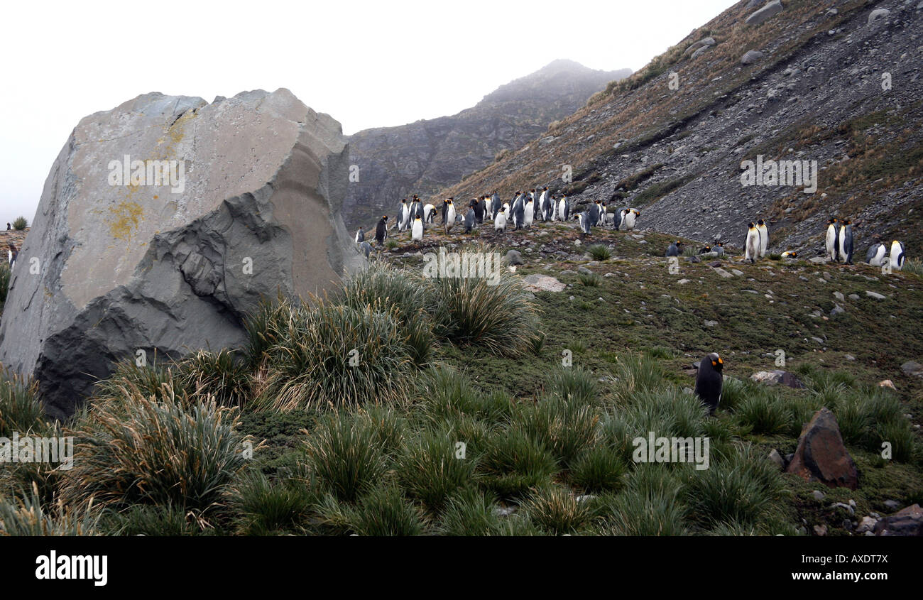 Giant ledge hi-res stock photography and images - Alamy