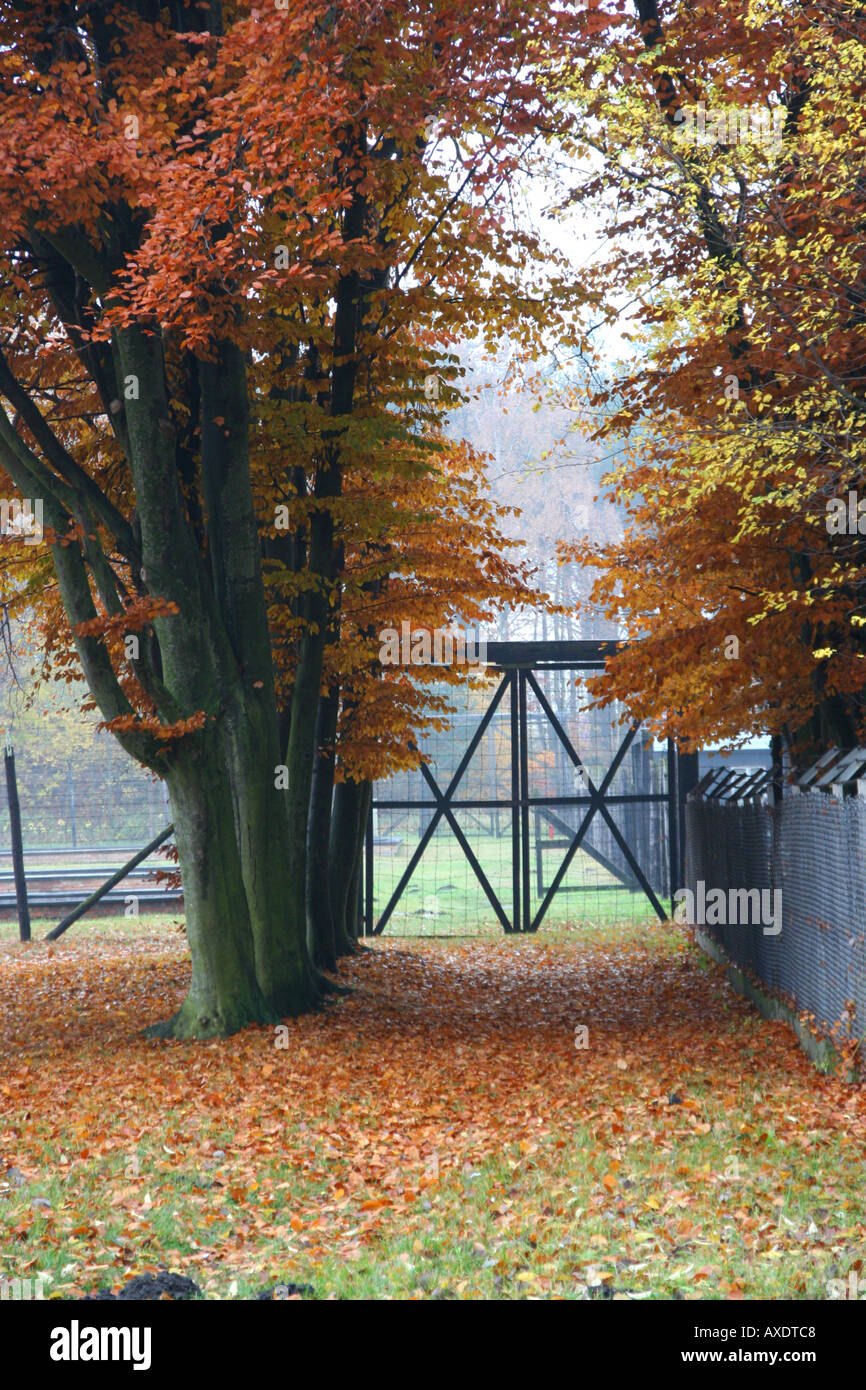 Stutthof Concentration Camp Stock Photo - Alamy