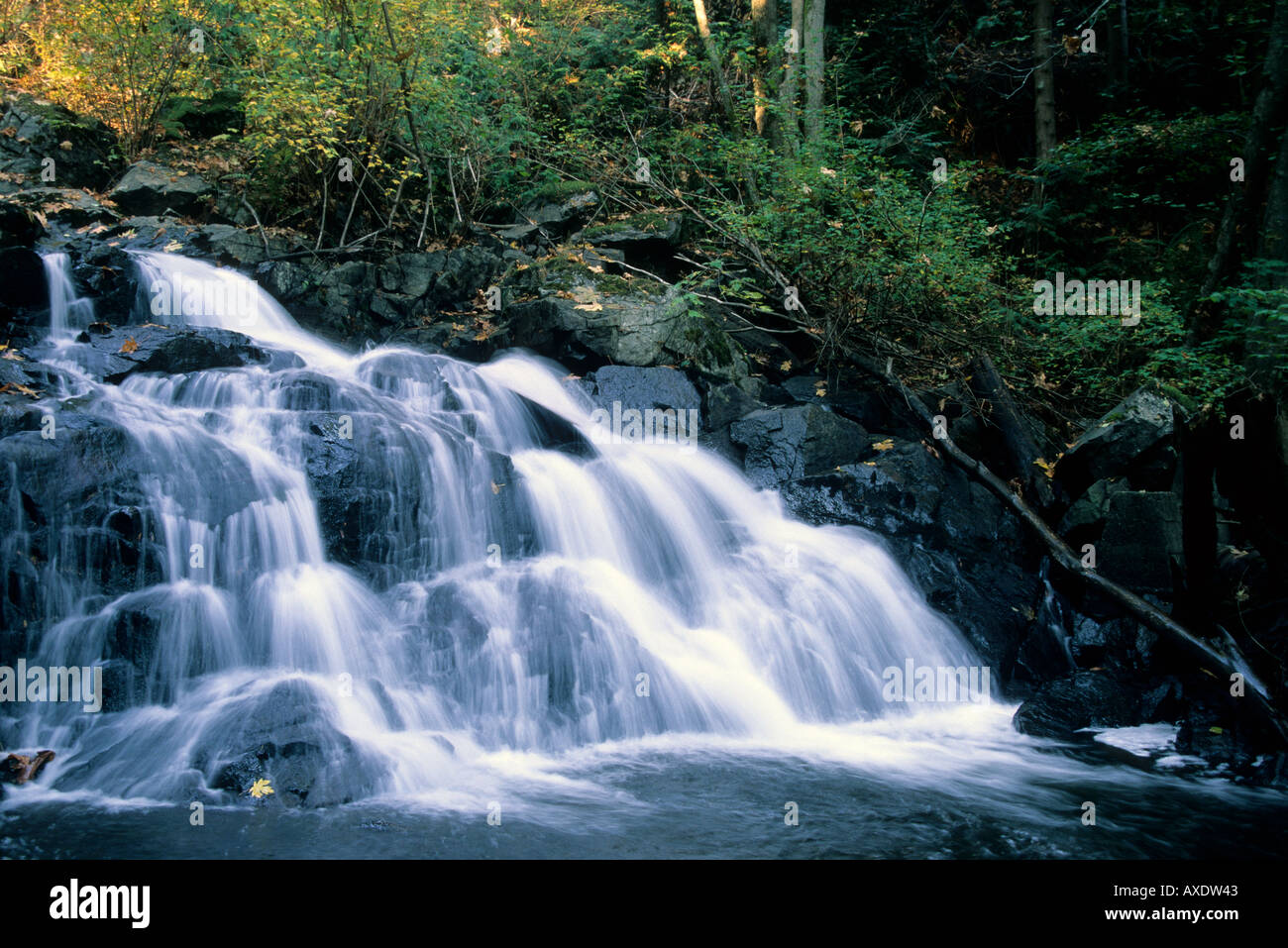 Crippen hi-res stock photography and images - Alamy
