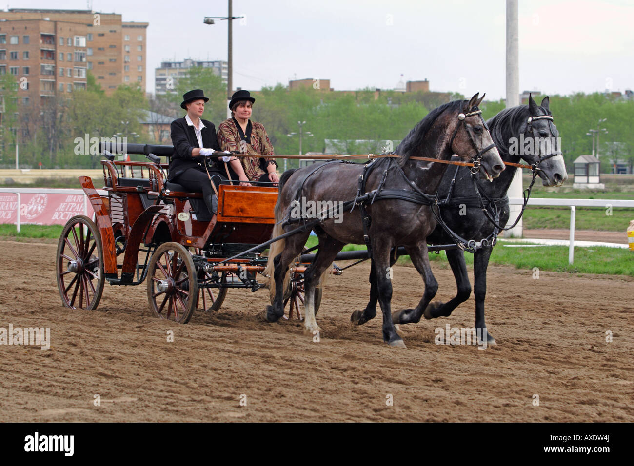 Woman horse carriage hi-res stock photography and images - Alamy