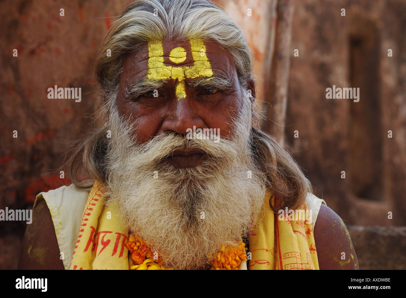 Portrait of Indian holy man, Orchha Stock Photo - Alamy