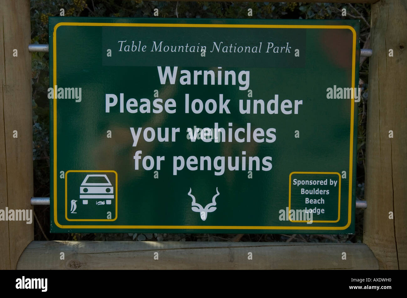 Warning sign for penguins in South Africa Stock Photo - Alamy