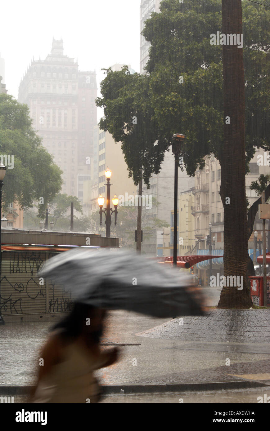 Rainy Day in São Paulo, Brazil Stock Photo - Alamy
