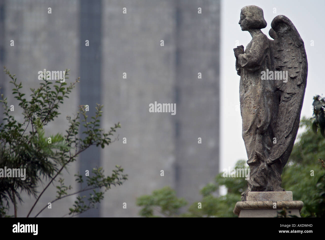 Angel in the City, São Paulo, Brazil Stock Photo - Alamy