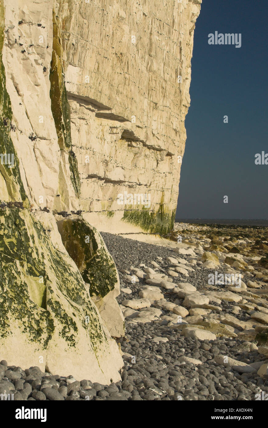 Chalk Cliffs at Birling Gap between Eastbourne and Seaford on the East ...