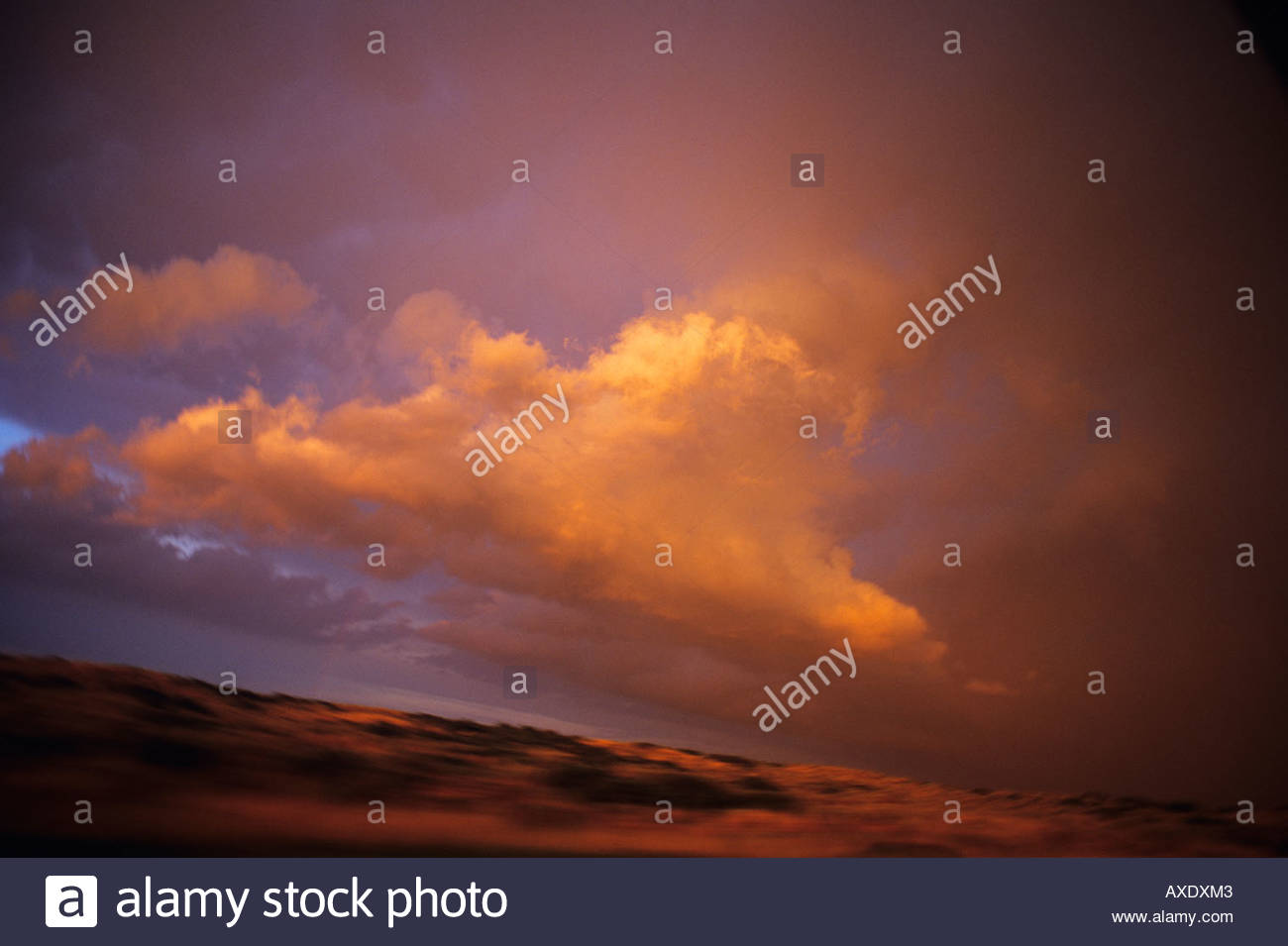 Driver At Window High Resolution Stock Photography and Images - Alamy