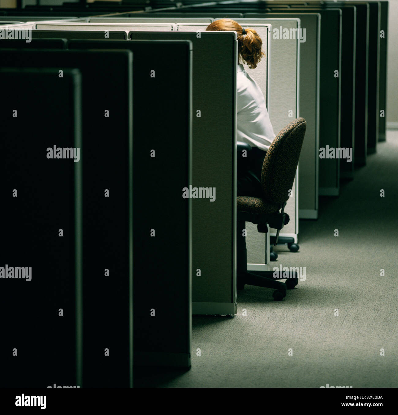 Female office worker works late in office cubicles Stock Photo - Alamy