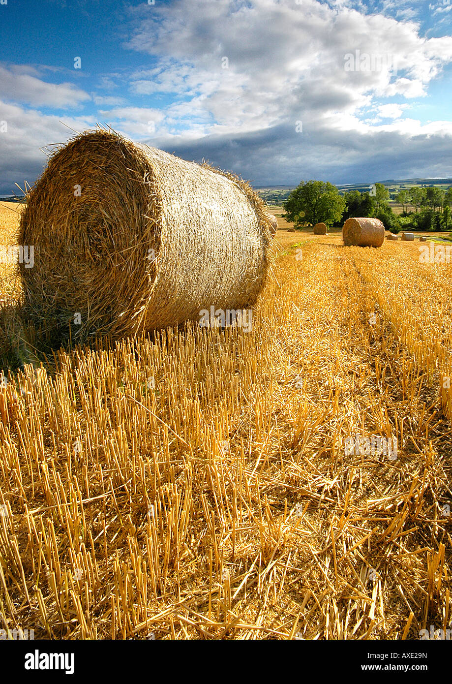 Summer and winter afternoon shadow hi-res stock photography and images ...
