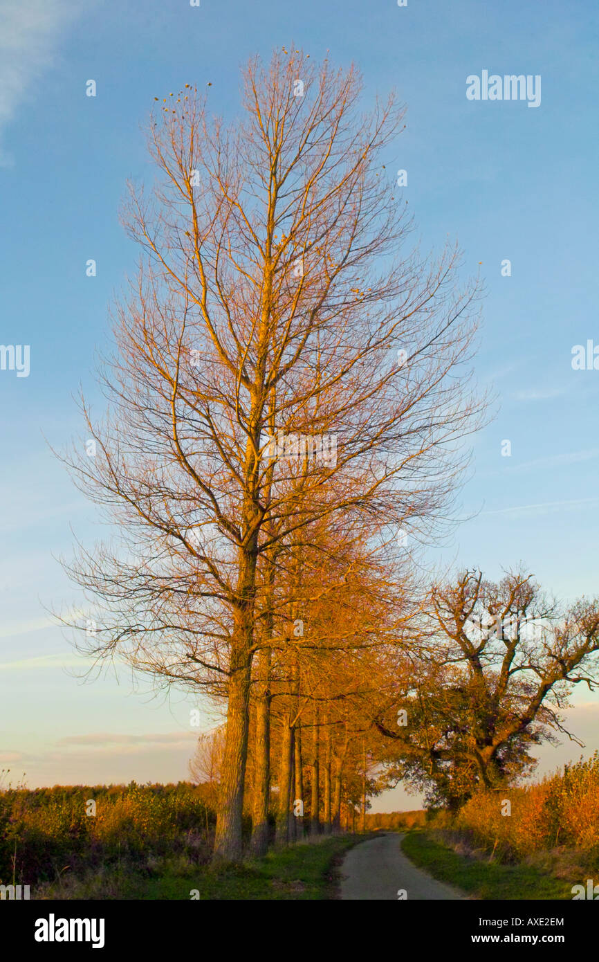 South norfolk england hi-res stock photography and images - Alamy