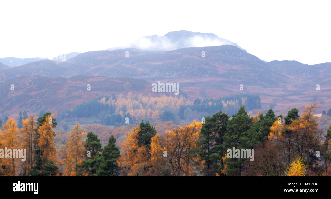Dunkeld and birnam trees hi-res stock photography and images - Alamy