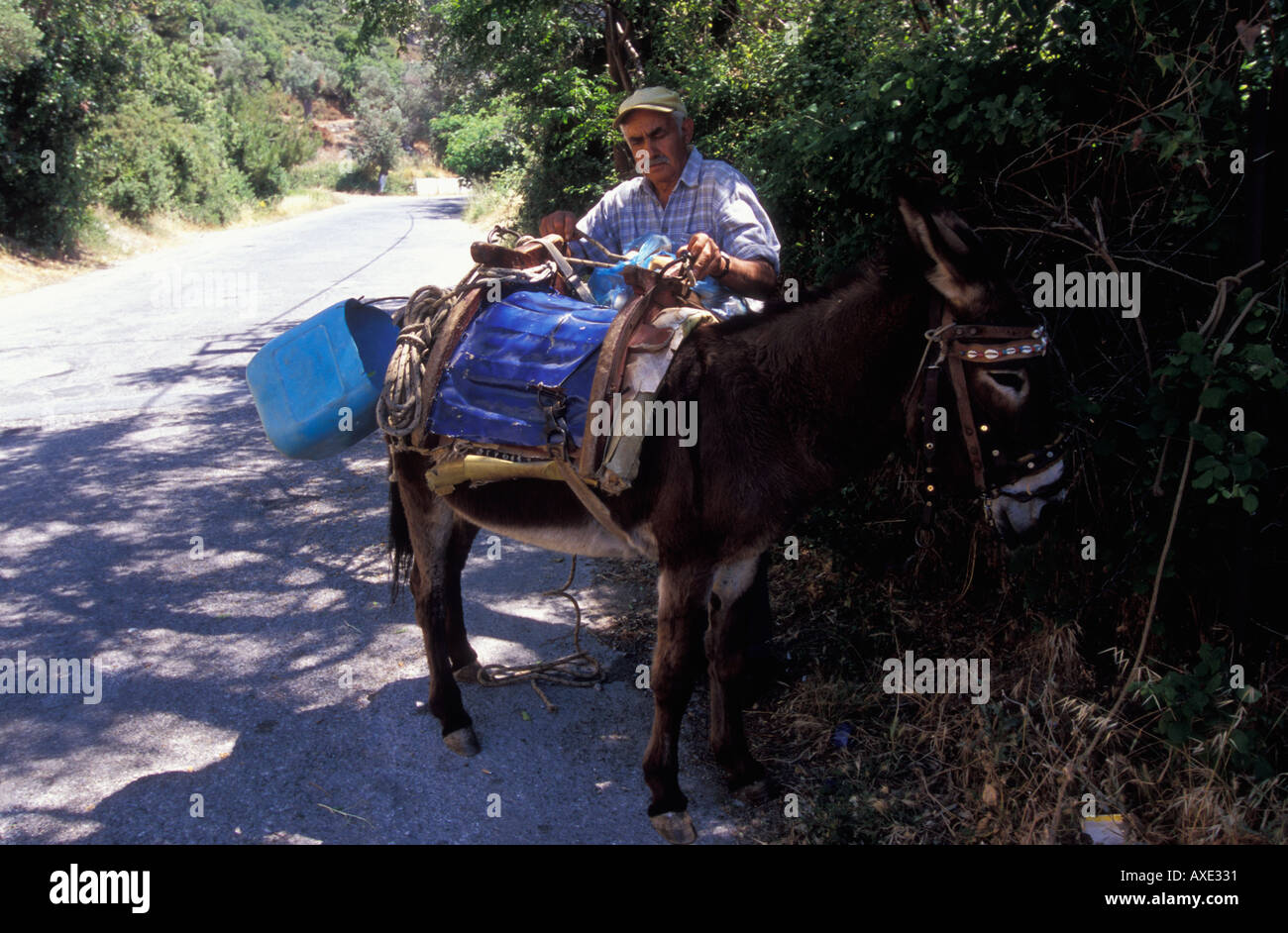 Greek man loading his donkey Platanos Samos Island Greece Stock Photo ...