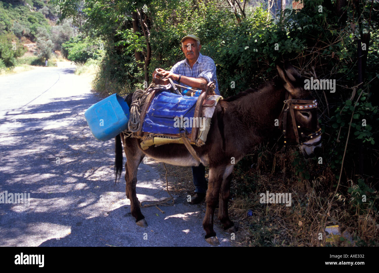 Greek man loading up his donkey Platanos Samos Island Greece Stock ...