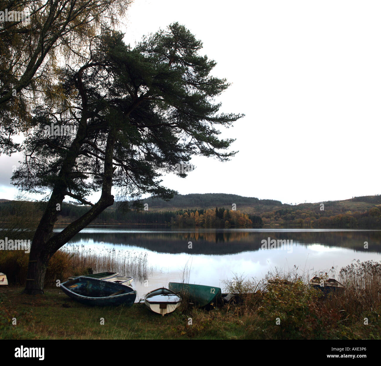 AUTUMN SCENE OF TRANQUILITY ON LOCH ARD IN THE QUEEN ELIZABETH NATIONAL ...