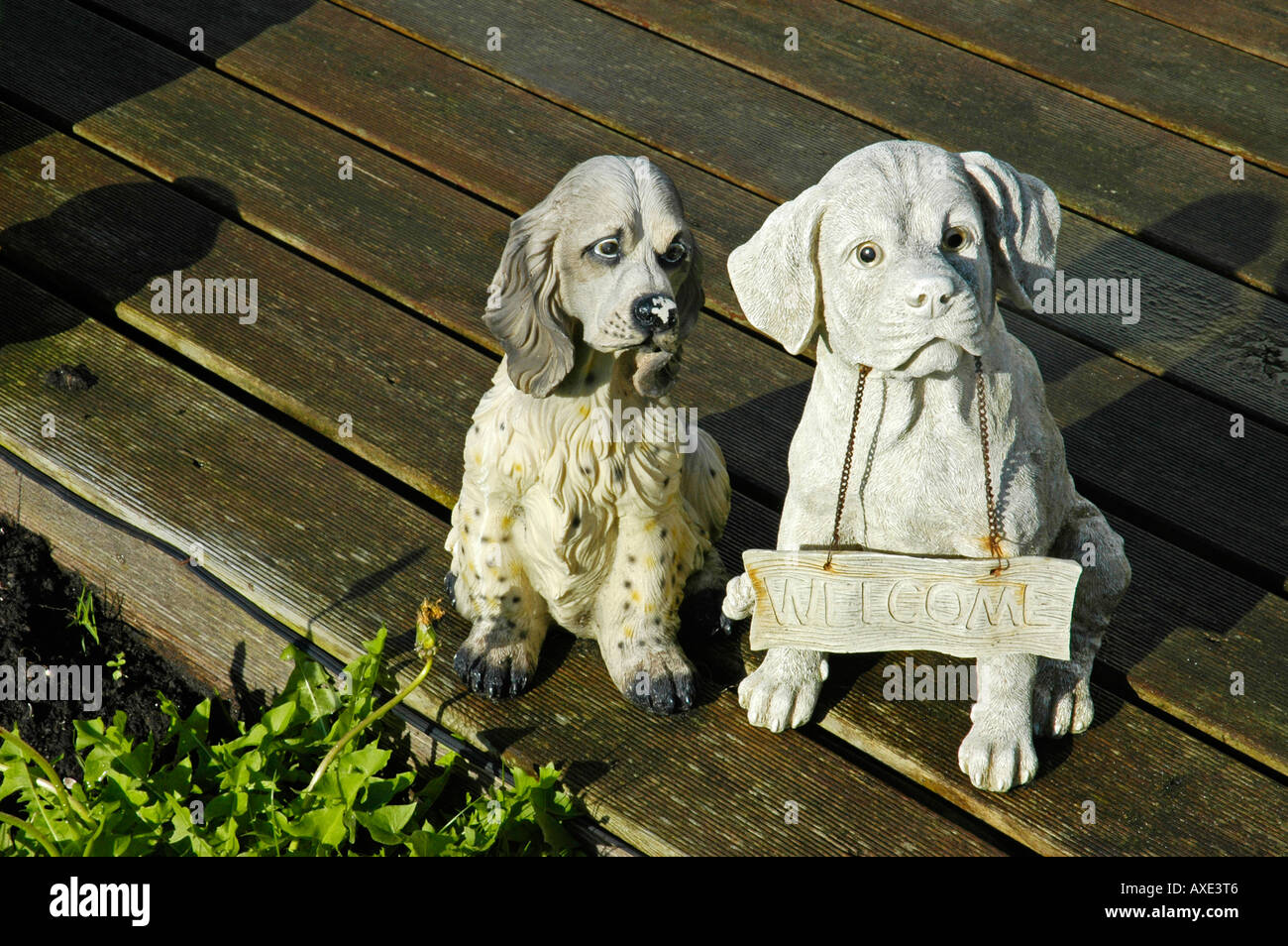 Two dogs with greeting, camping ground Stock Photo - Alamy