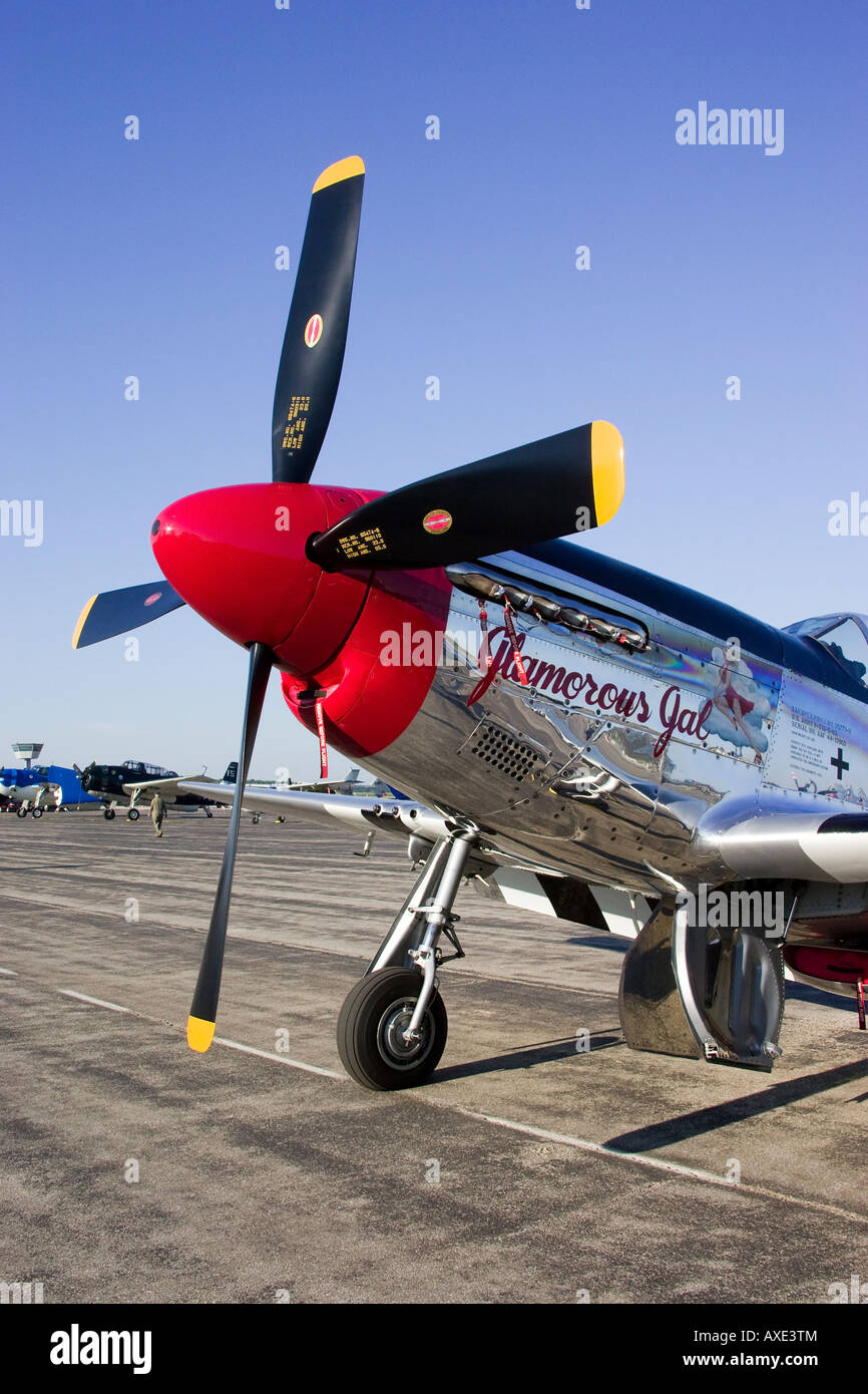 P-51 Mustang Fighter on display at Thunder over Michigan Air Show Stock ...