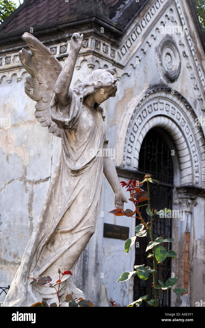 Angel at the graveyard "Conceição" in São Paulo, Brazil Stock Photo - Alamy
