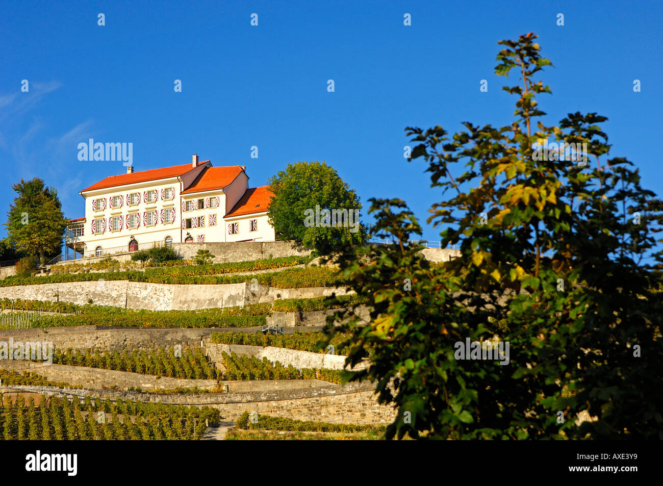Riviera vaudoise hi-res stock photography and images - Alamy