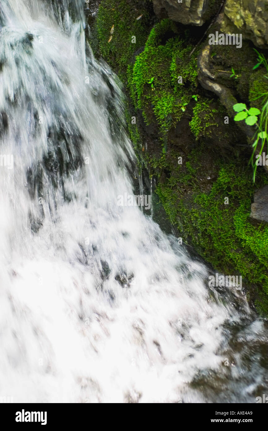 rushing stream of water Stock Photo - Alamy