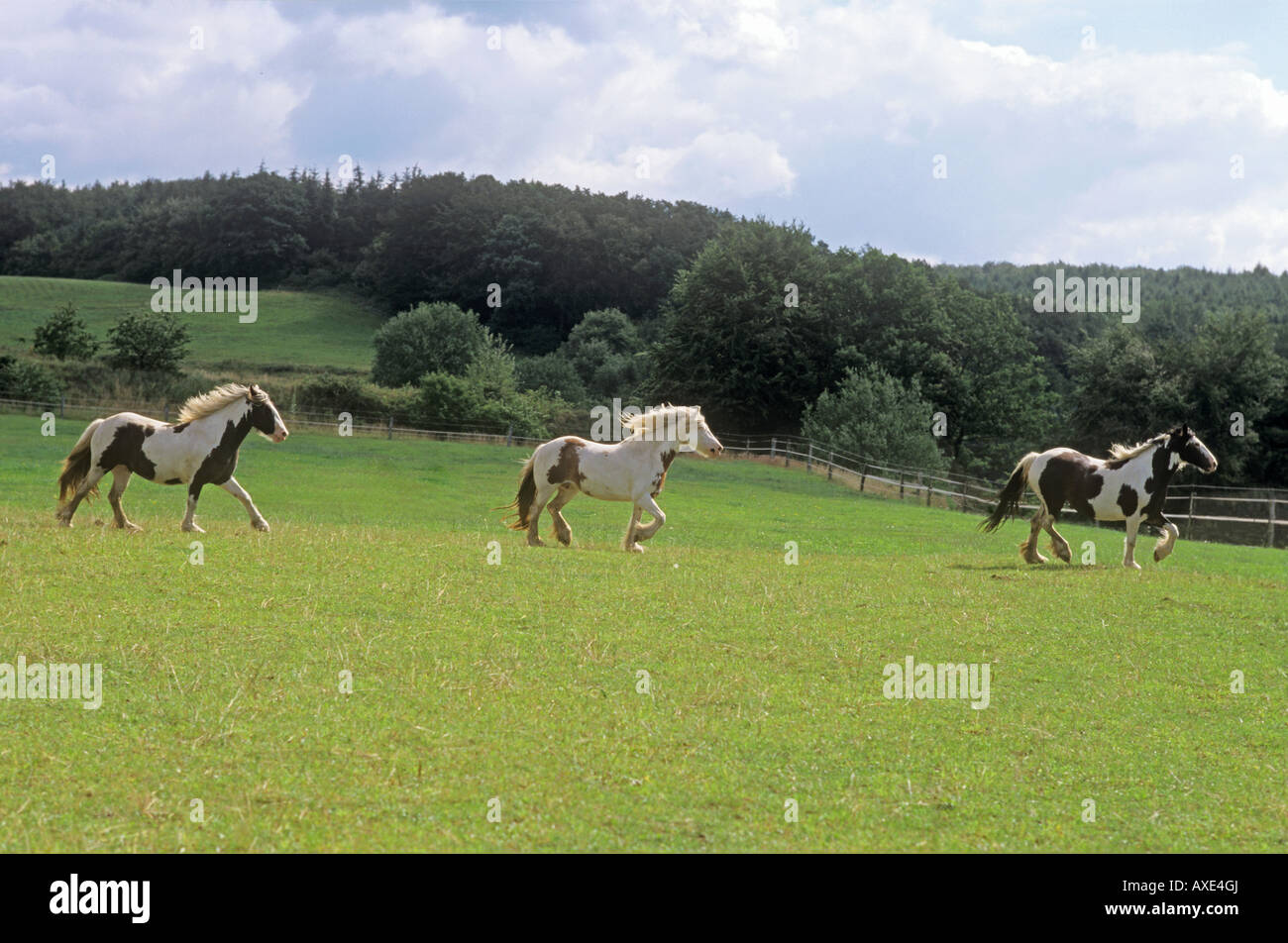 Irish Tinkers High Resolution Stock Photography and Images - Alamy