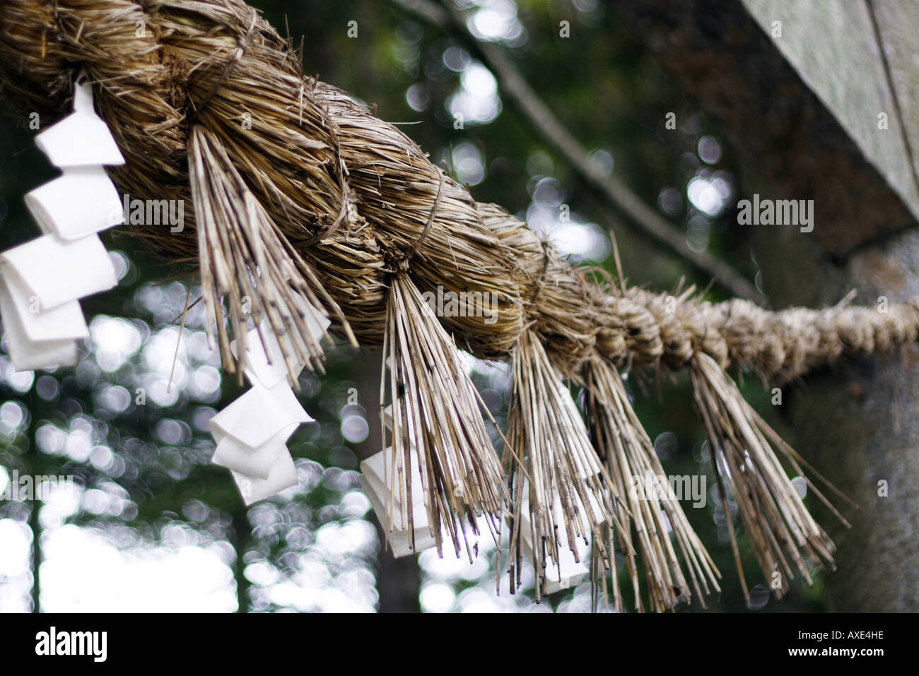 Incense sticks and prayer notes at Takkoku-Seiko-ji Temple, Honshu ...