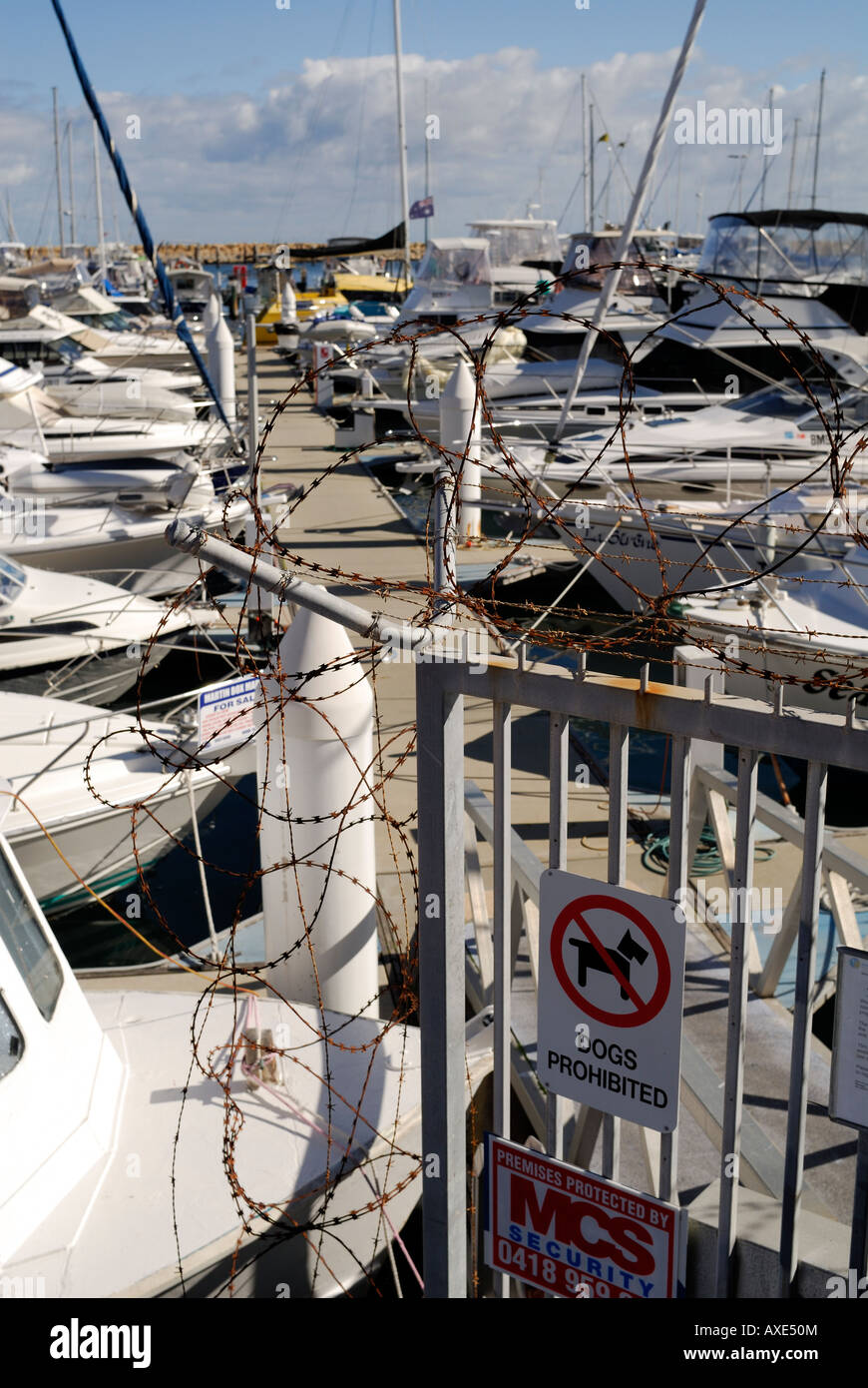 Boat jetty security prohibition dog hi-res stock photography and images ...