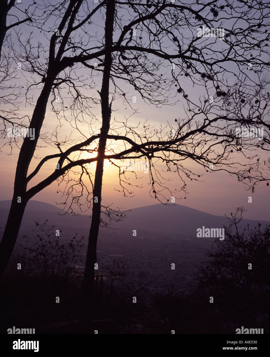 Silhouetted trees, Oaxaca at sunset from Cerro de Fortin, Mexico Stock ...