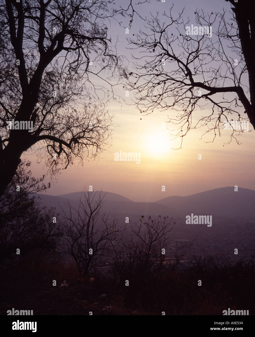 Silhouetted trees and a view over Oaxaca at sunset from Cerro de Fortin ...