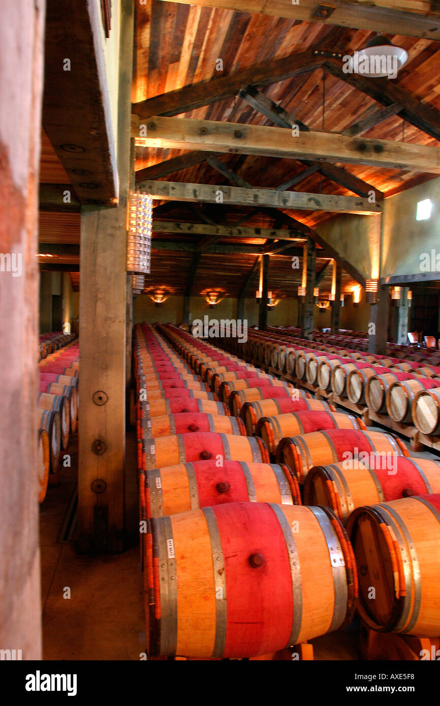 wine barrels in a storage room Stock Photo - Alamy