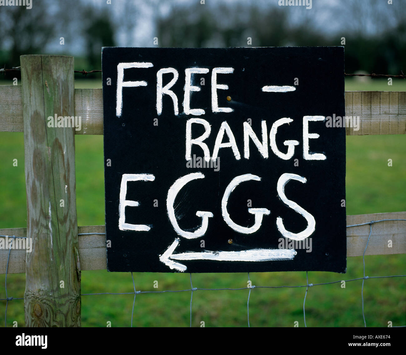 Free Range Egg Sign Stock Photo - Alamy