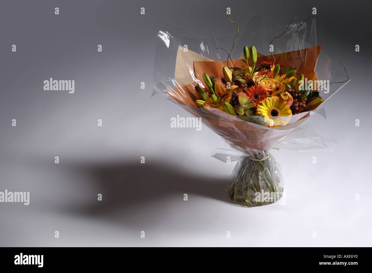 Bouquet flowers cellophane hi-res stock photography and images - Alamy