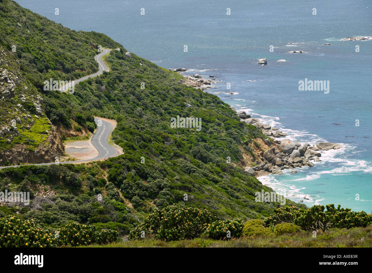South Africa Cape Town Table Mountain National Park Winding road along ...