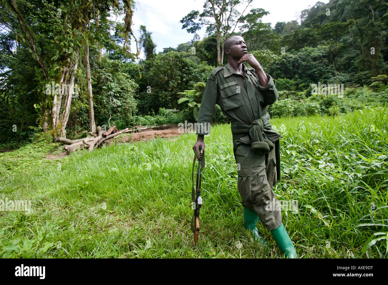 Africa Uganda Bwindi Impenetrable National Park Guard carrying AK 47 ...