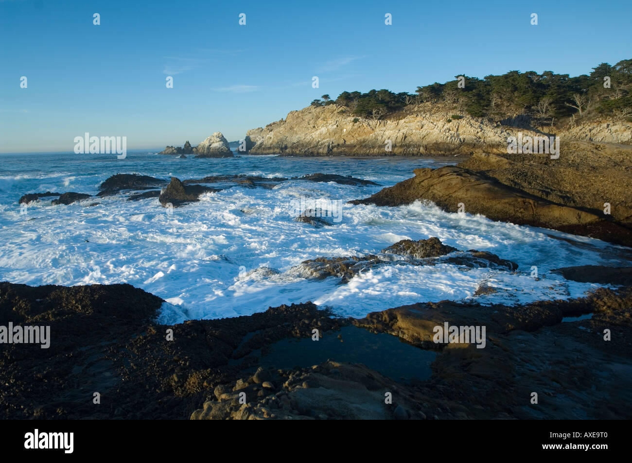 California, Point Lobos , Point Lobos State Park Stock Photo - Alamy
