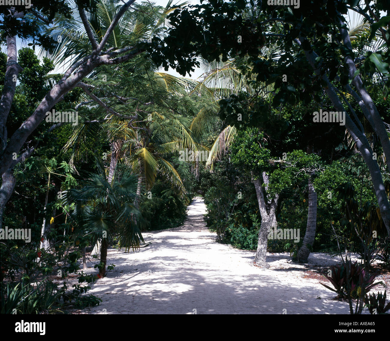 House on Channel Cay, Abacos Island, Bahamas. Garden Stock Photo - Alamy