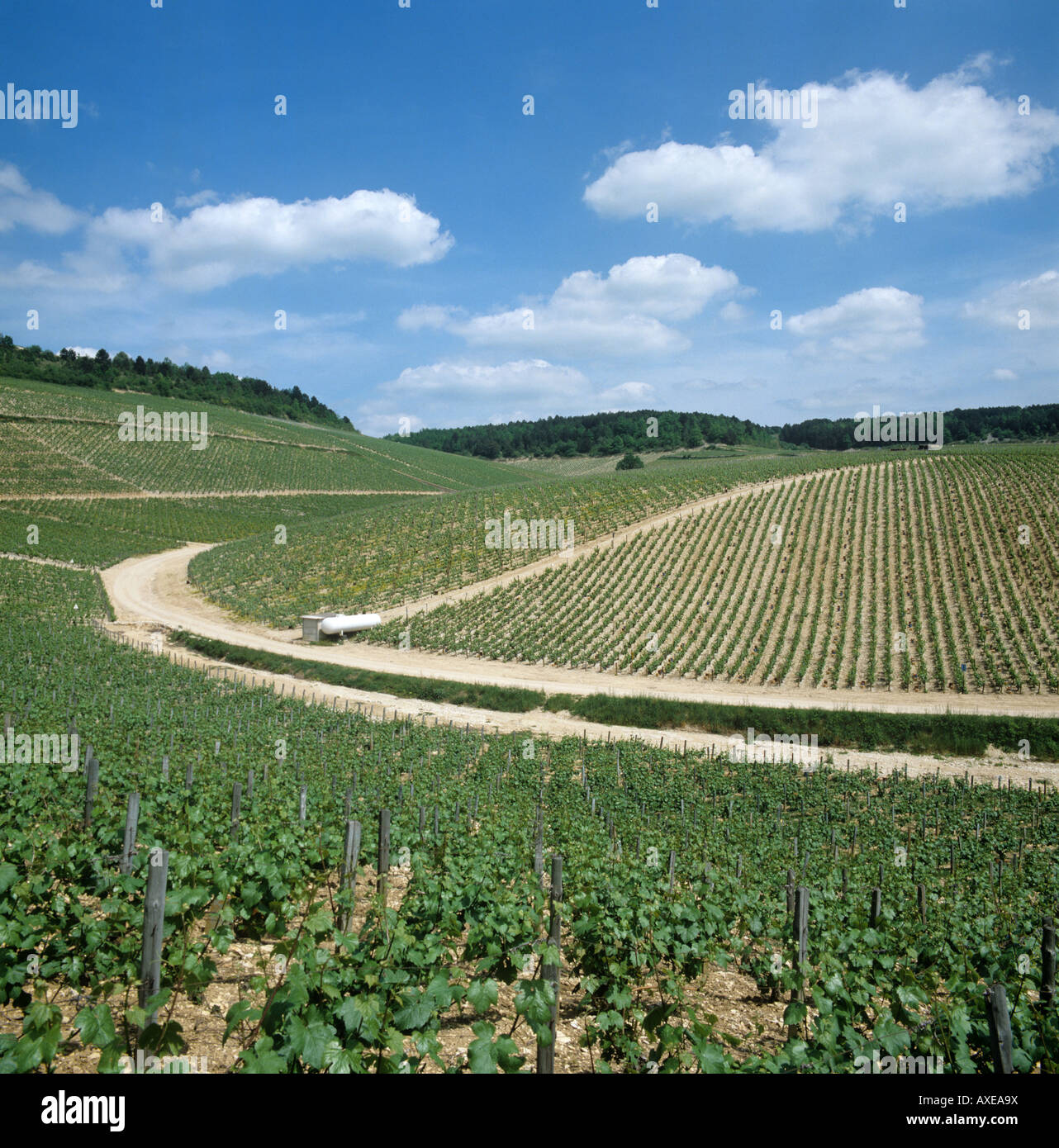 Frost cylinders hi-res stock photography and images - Alamy