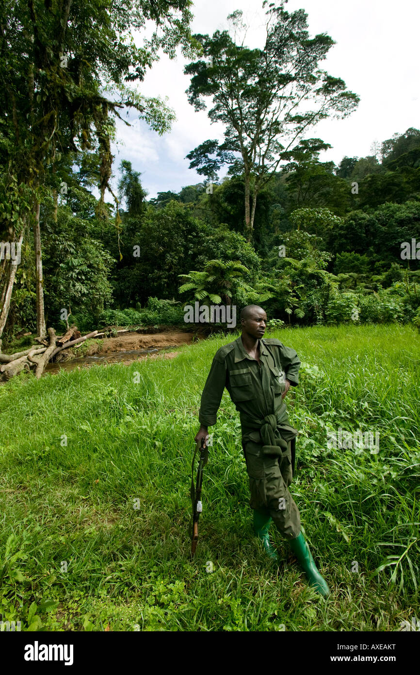 Africa Uganda Bwindi Impenetrable National Park Guard carrying AK 47 ...