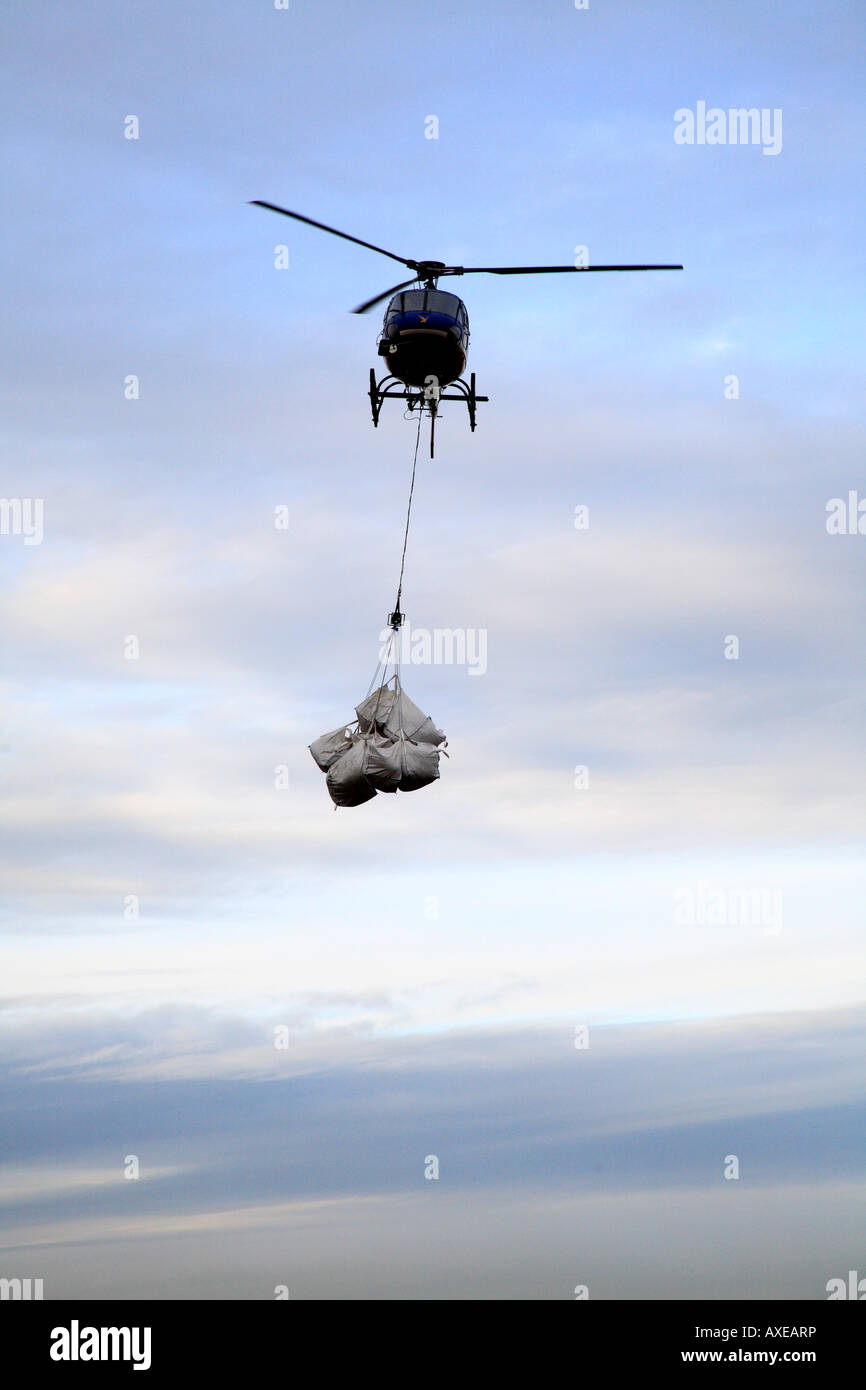 Helicopter carrying bags of heather brash, Black Hill, Holme Moss ...