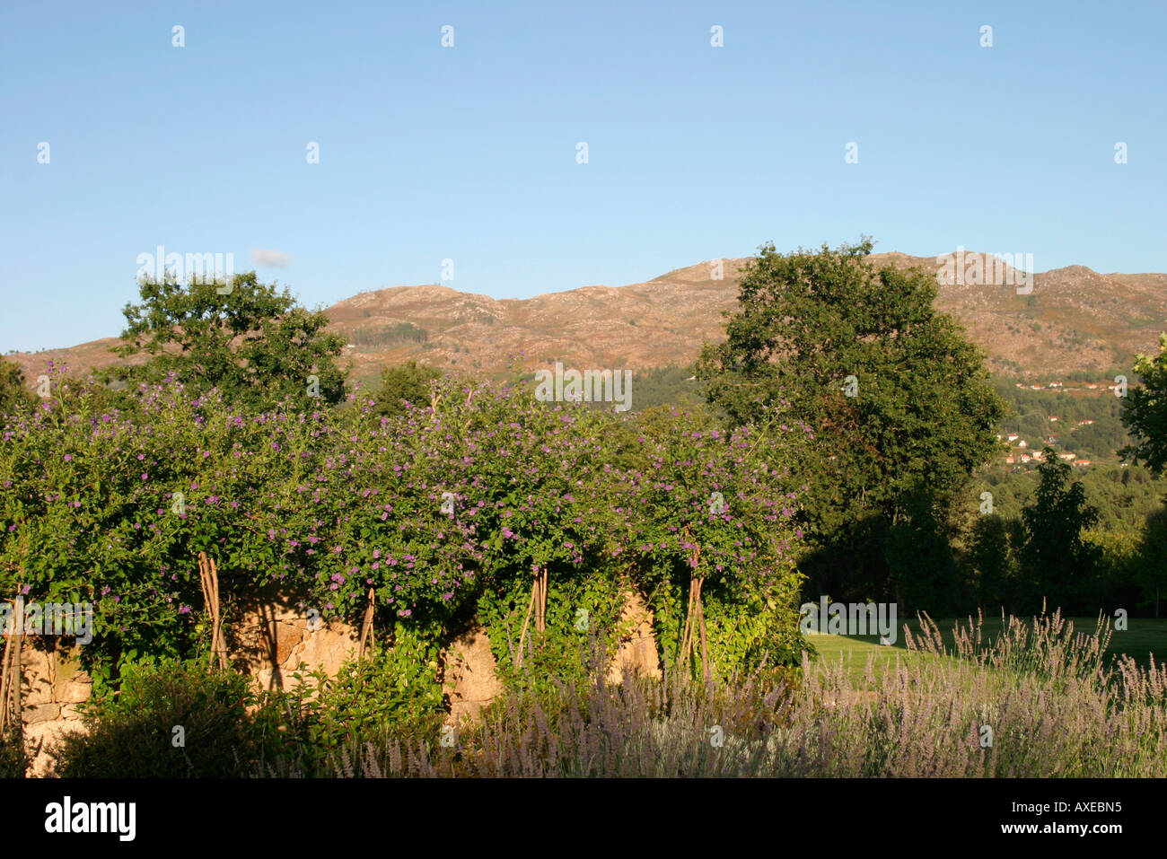 Typical Minho landscape of Northern Portugal Stock Photo - Alamy