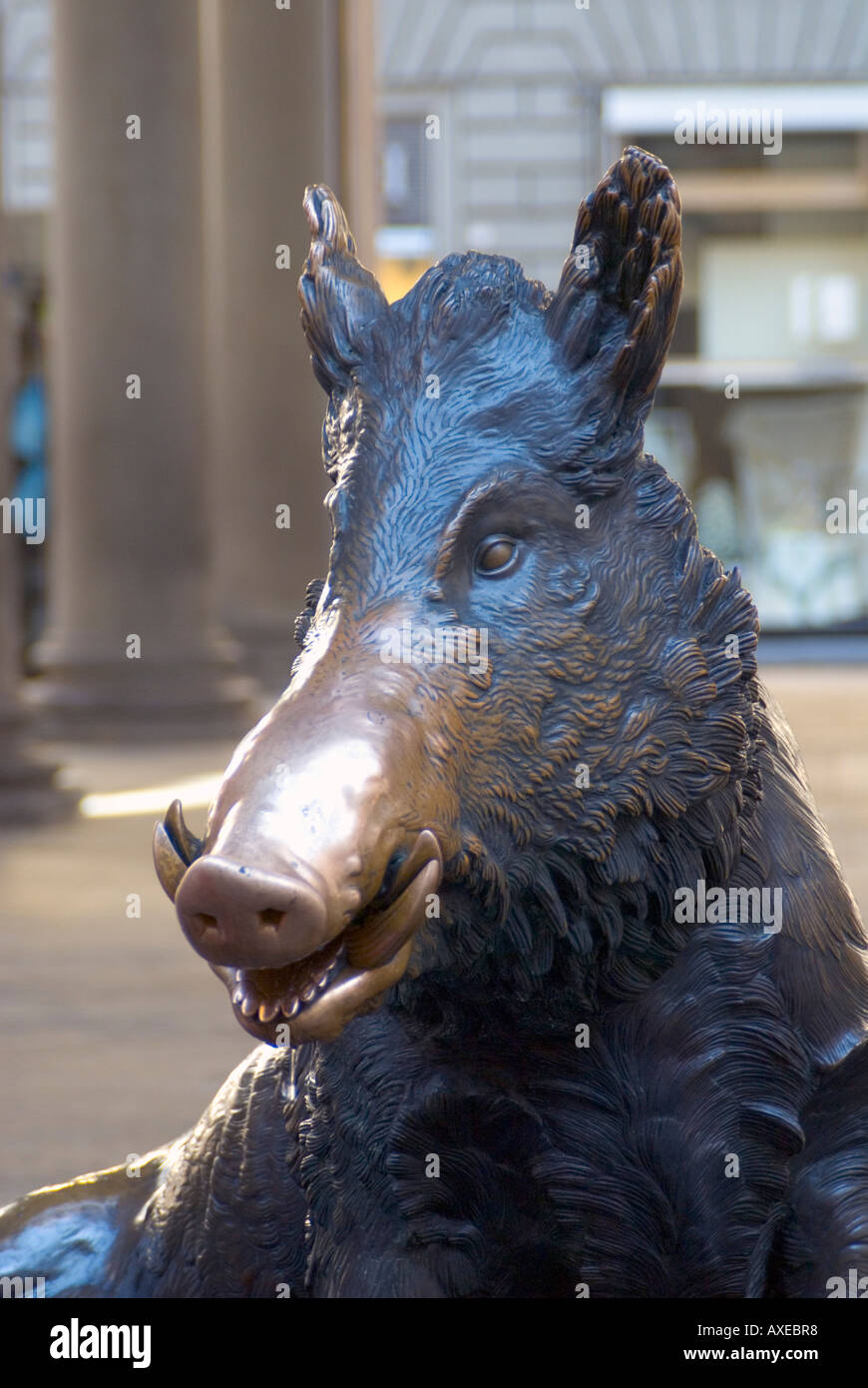 Florence. Il Porcellino. Statue of the wild boar. Rubbing his nose is ...