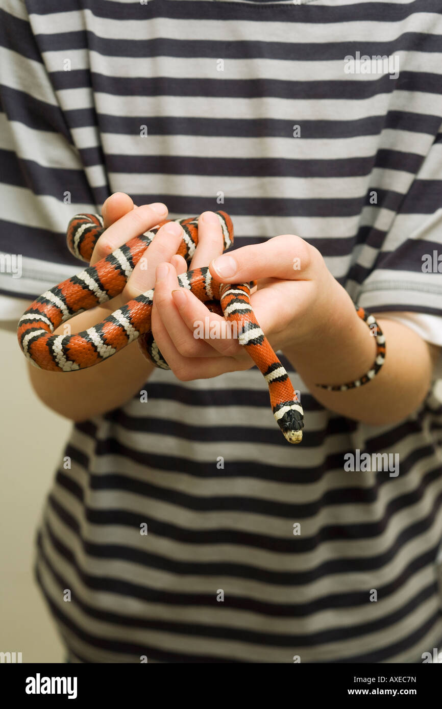 Boy Snake High Resolution Stock Photography and Images - Alamy