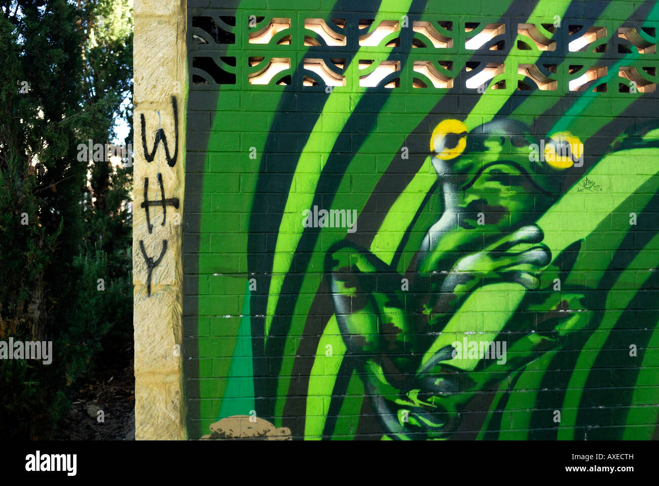 Painting of frog hi-res stock photography and images - Alamy