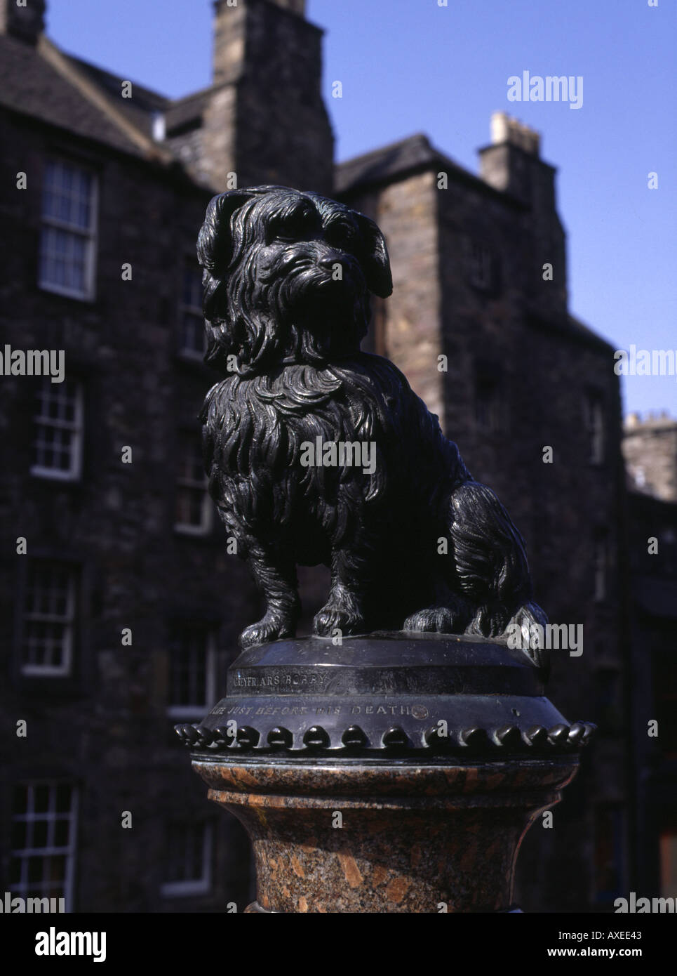 Greyfriars bobby and auld jock hi-res stock photography and images - Alamy