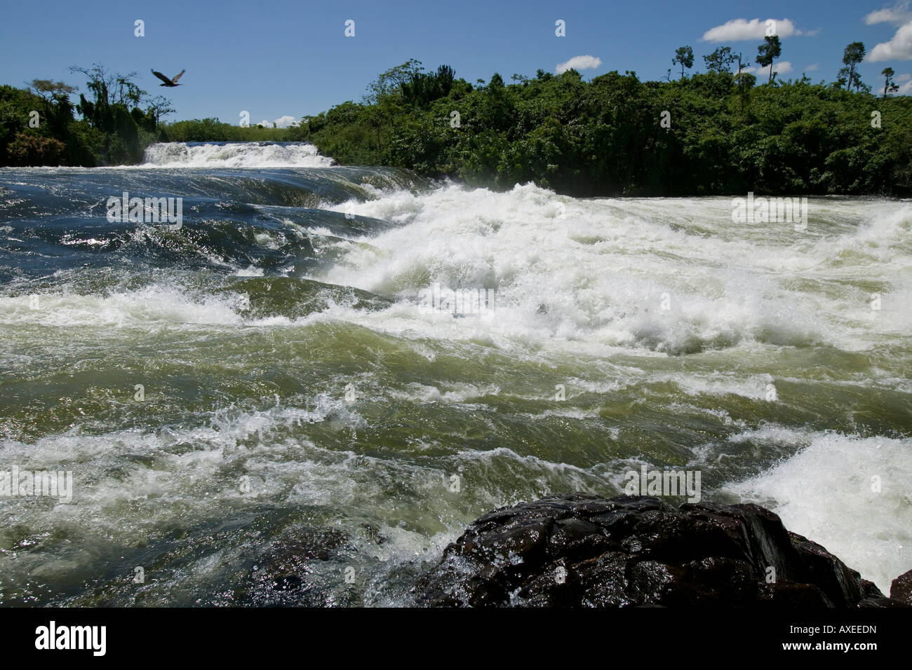Africa Uganda Jinja Nile River flows over rapids at Bujagali Falls near ...