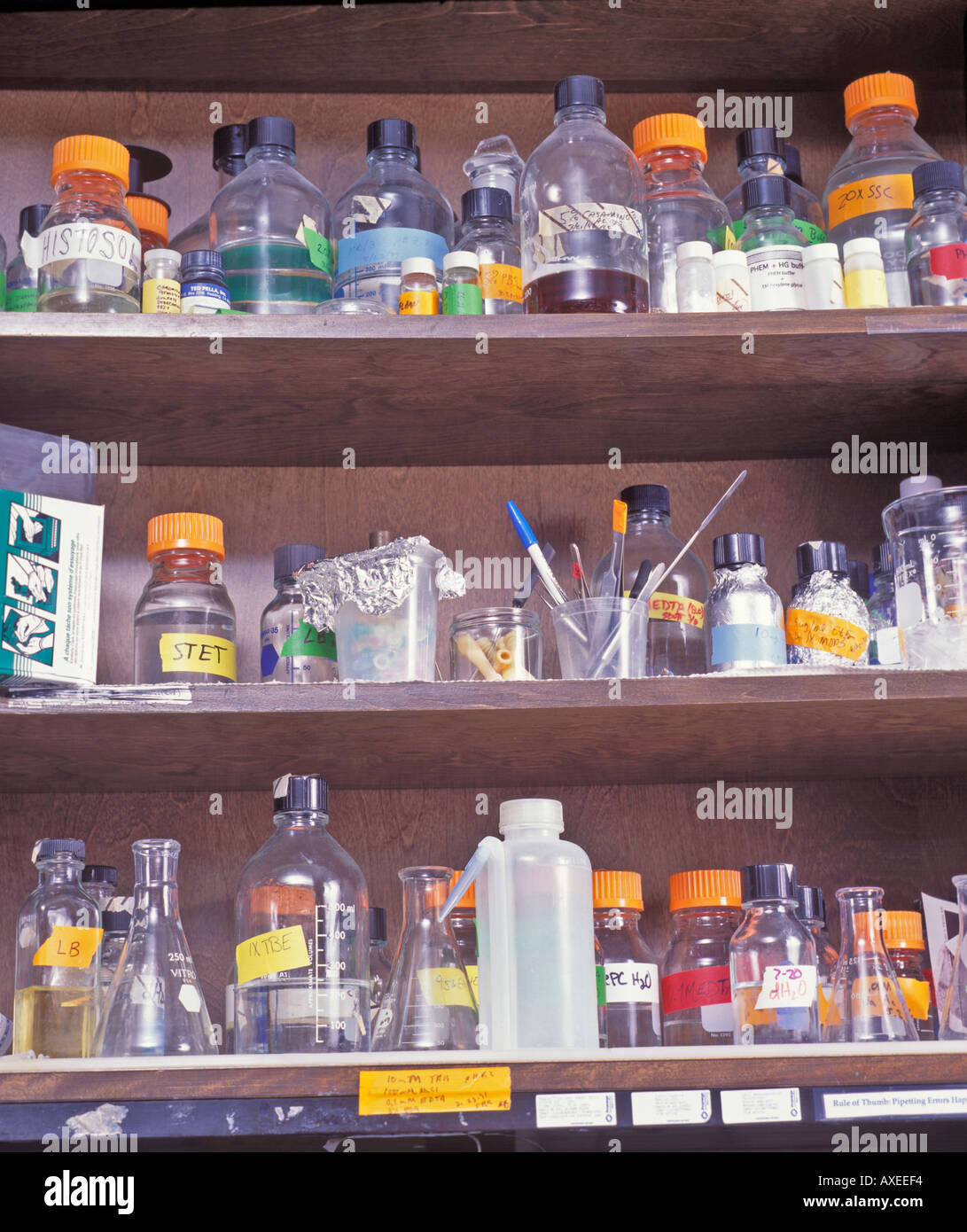 bottles in a chemistry lab Stock Photo - Alamy